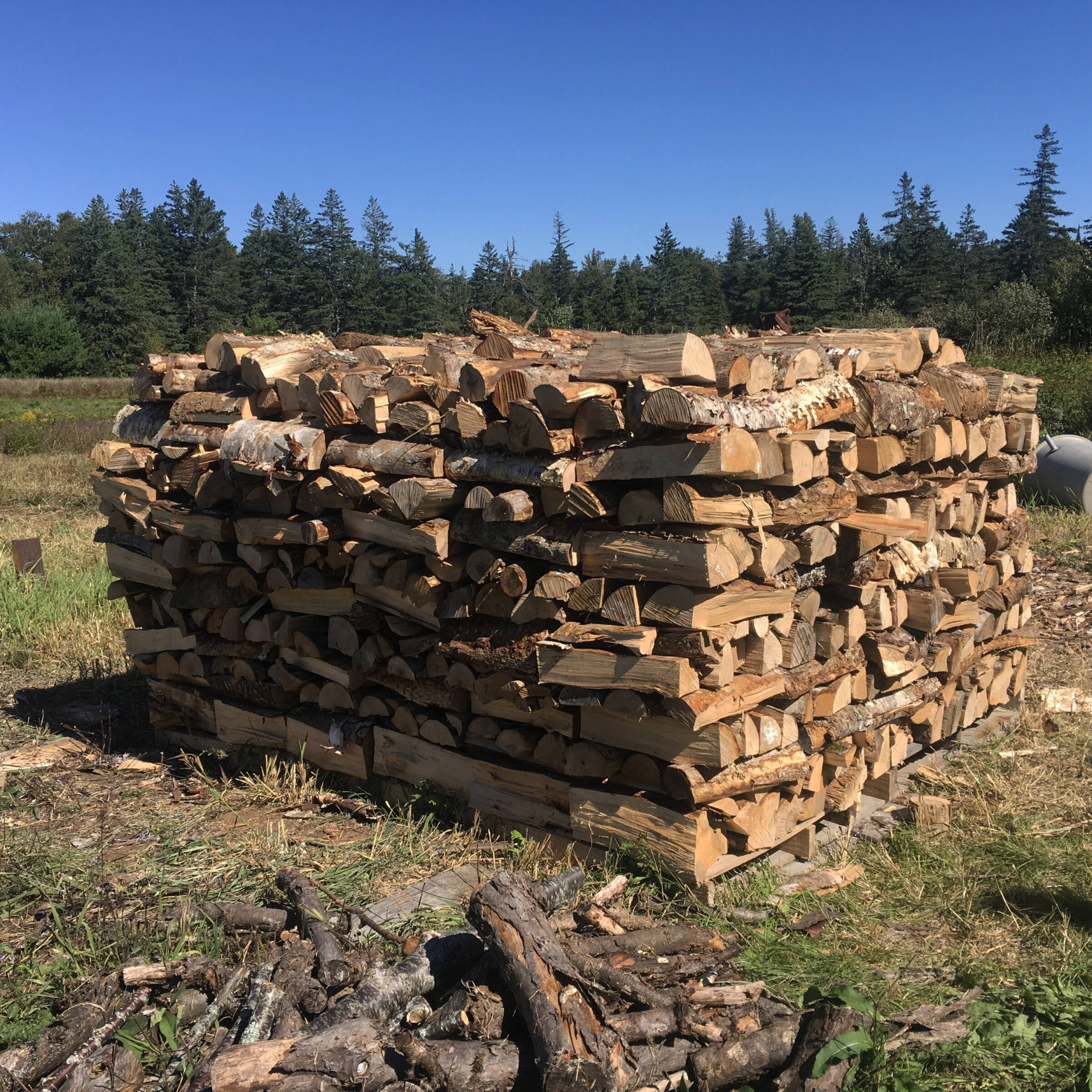 Joe Baiza Trio / SWRM / Jeffrey Alexander & the Heavy Lidders - Pageant : Soloveev