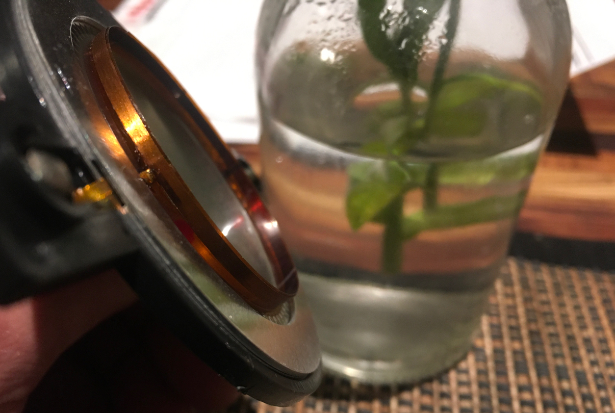 Grassy Sound / Susan Alcorn - Pageant : Soloveev