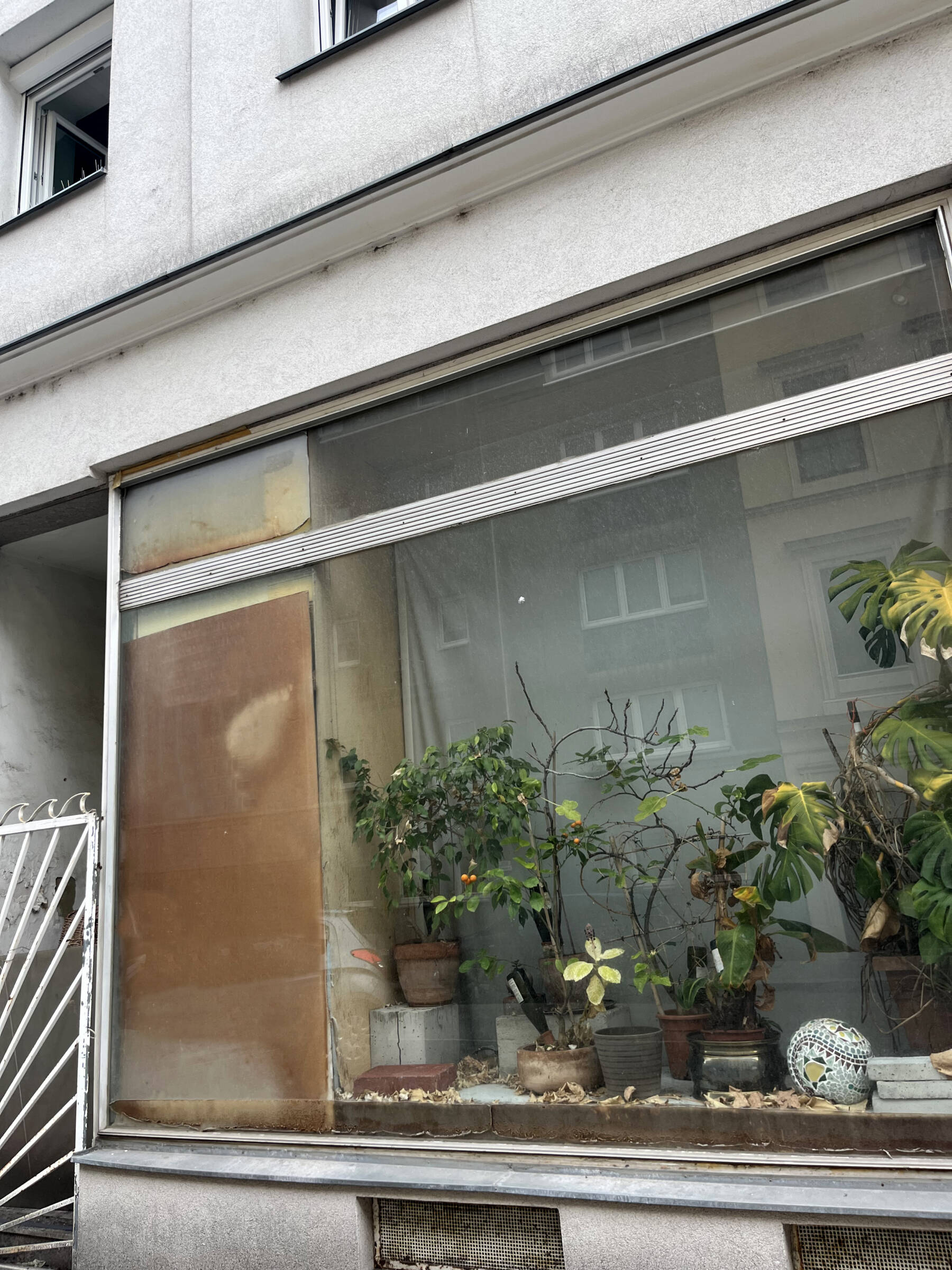 Dream Skills + GW Sok / Opening Bell / Neil Burke / Ecology: Homestones ...