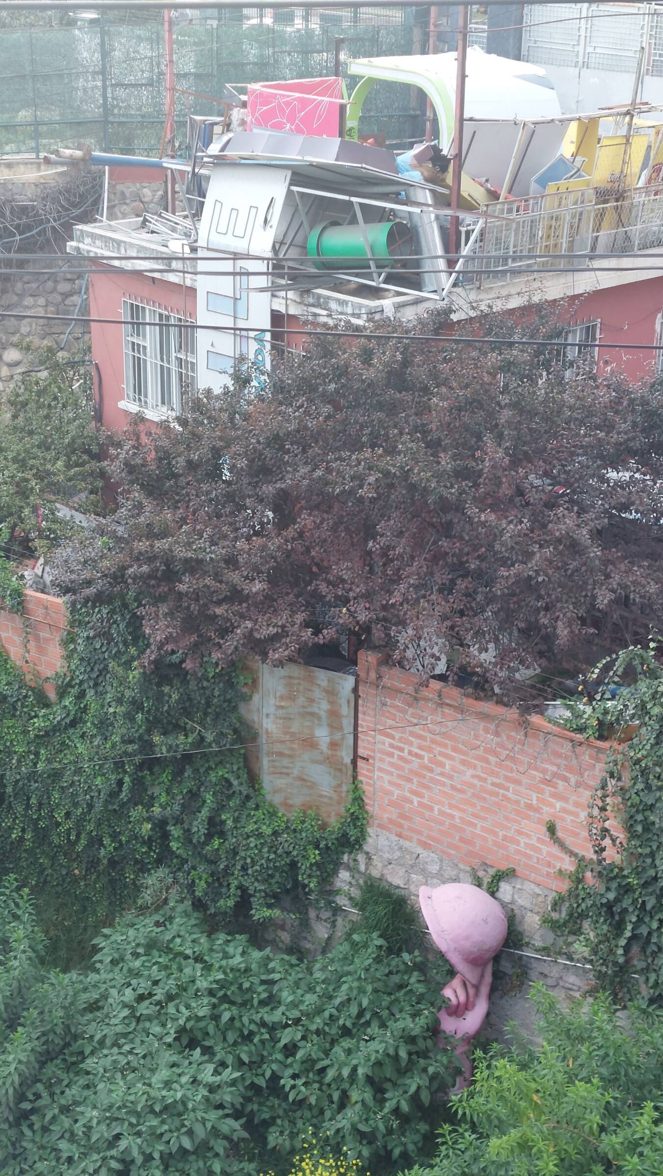 Roger Clark Miller / Mike Polizze + Bill Nace / Jacy Webster - Pageant ...